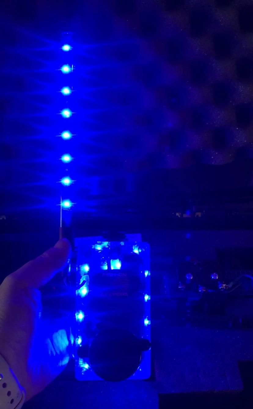 Mp3 Blue Box Beeper – Fish-On Beepers and Flavor